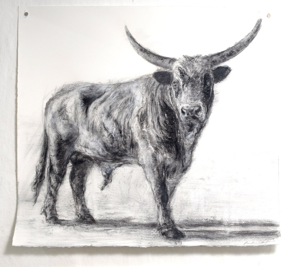 The calling 2 – KZNSA